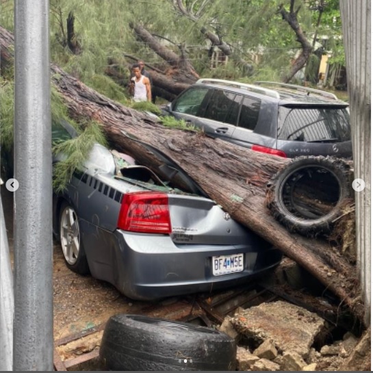Trees fall on cars following heavy rainfall in Lagos - MicroSecondNews